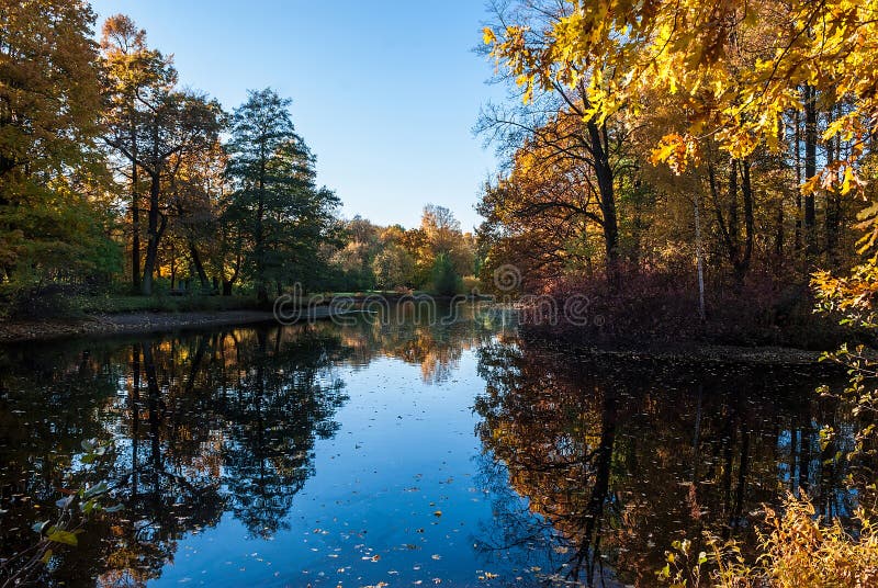Autumn pond in park stock photo. Image of russia, defoliation - 103073470