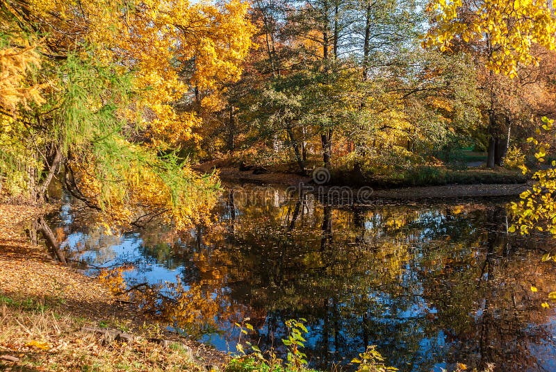 Autumn pond in park stock photo. Image of reflection - 103073942