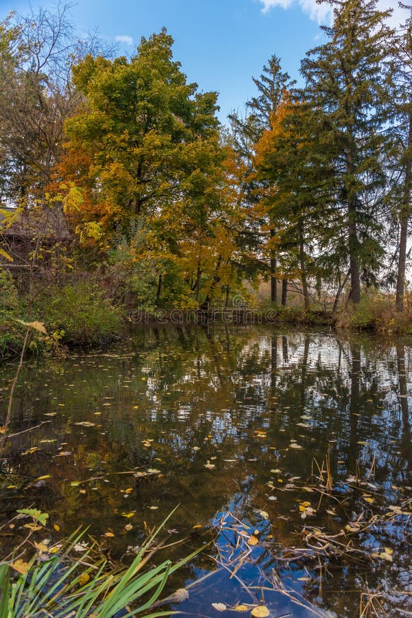 Autumn pond in park stock image. Image of lake, recreation - 129882041