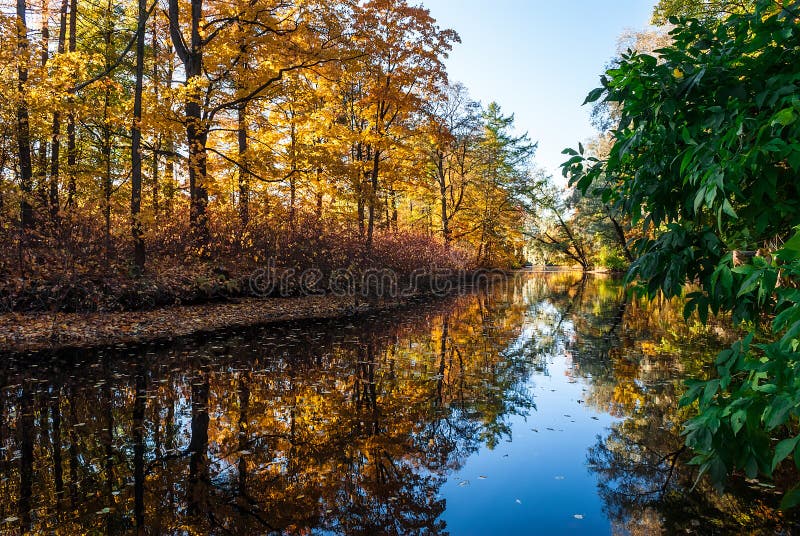 Autumn pond in park stock photo. Image of clear, perspective - 65469082