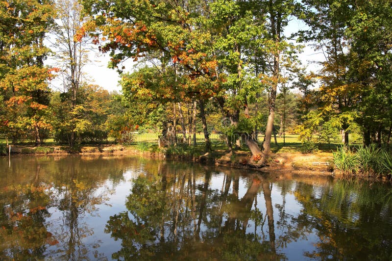 Autumn pond. stock image. Image of park, lake, season - 34141077