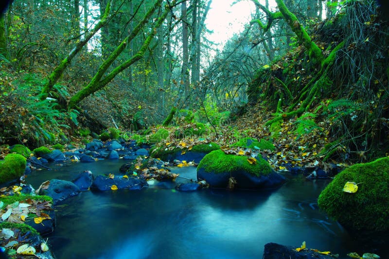 Autumn pool stock image. Image of autumn, pool, creeks - 50404131