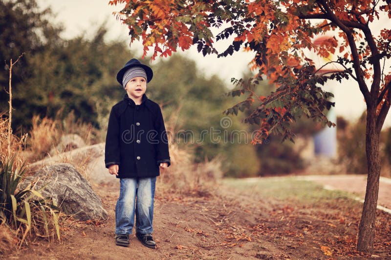Autumn portrait of the boy stock photo. Image of golden - 26034014