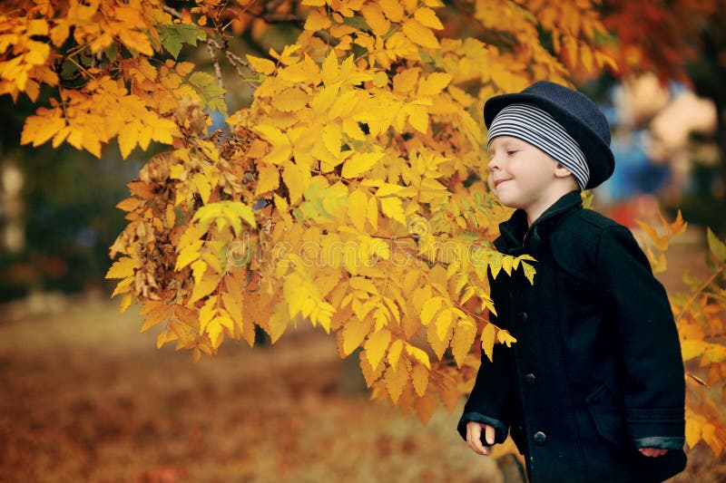 Autumn portrait of the boy stock photo. Image of farm - 26034056