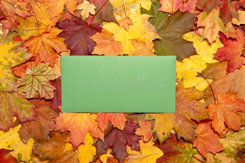 Autumn postcard stock photo. Image of leaf, postcard - 31453948