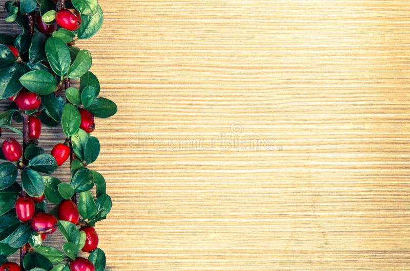 Autumn postcard stock image. Image of limb, concept, postcard - 44709381