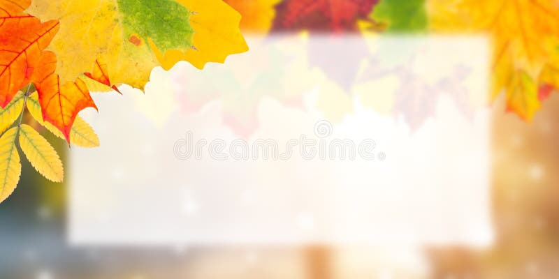 Autumn Postcard for Design stock image. Image of season - 76379919