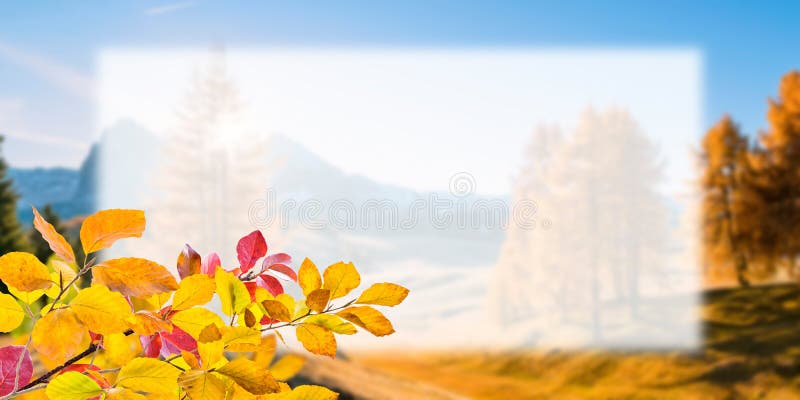 Autumn Postcard for Design stock photo. Image of foliage - 76379936