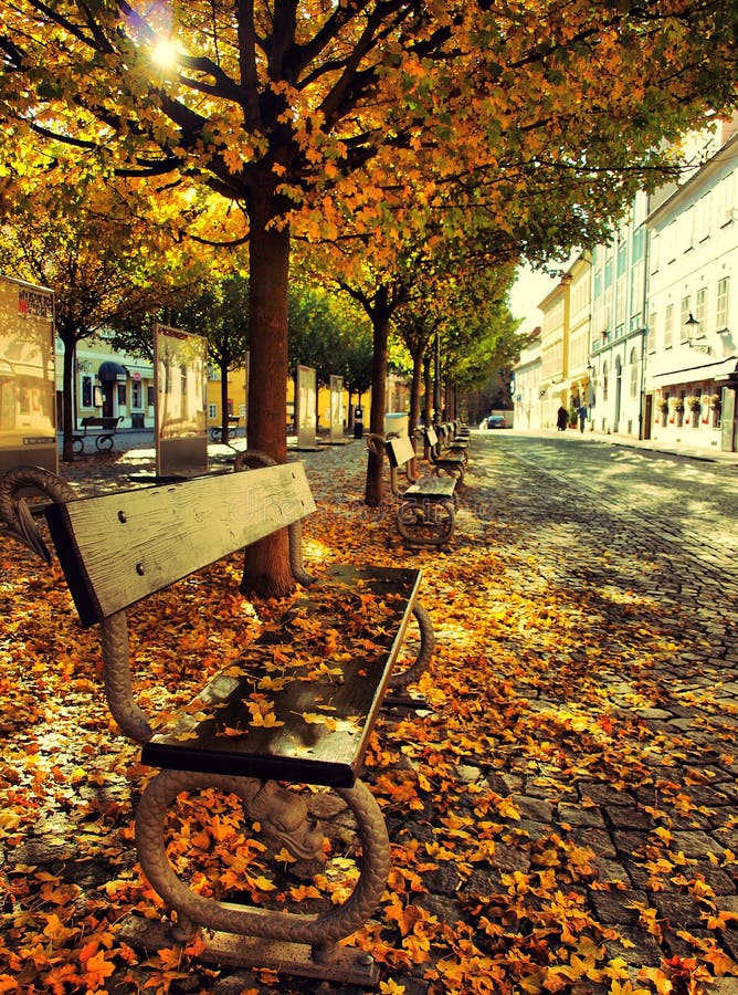 Autumn in Prague / Kampa stock image. Image of leaves - 15235143
