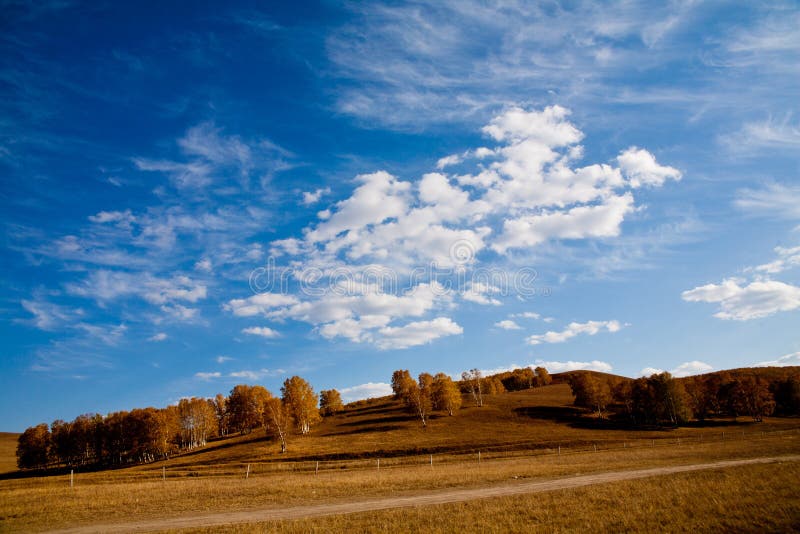 Autumn prairie stock image. Image of bright, foliage - 36129975