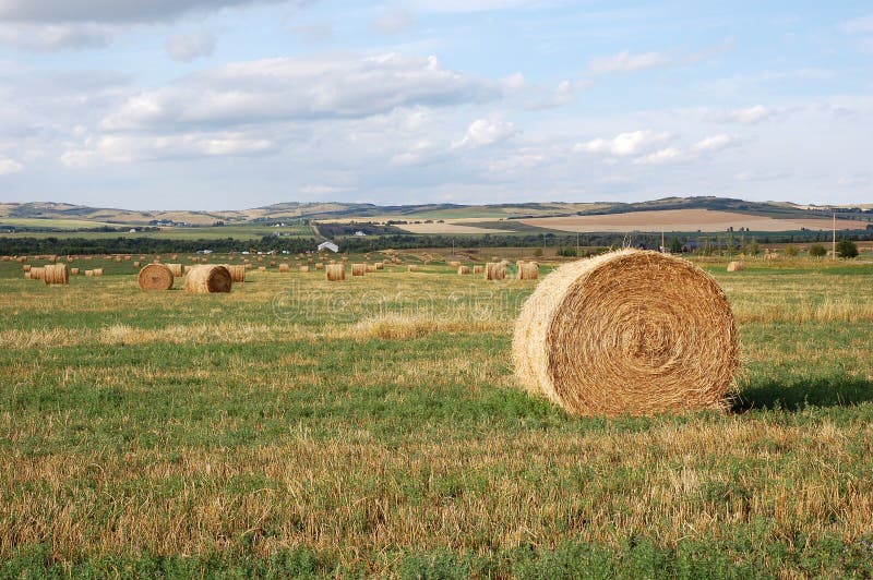 Autumn Prairie and Straw Piles Stock Image - Image of countryside ...