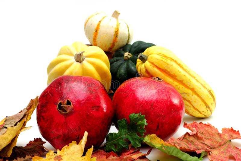 Autumn Produce stock photo. Image of squash, edible, acorn - 11983054