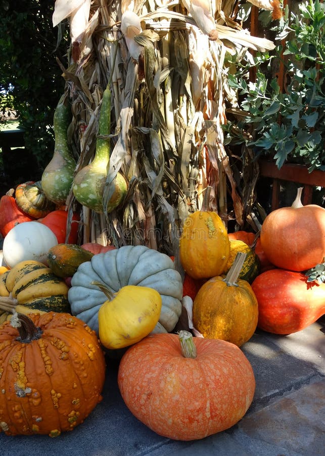 Autumn Produce Display at a Farm in California Stock Photo - Image of ...