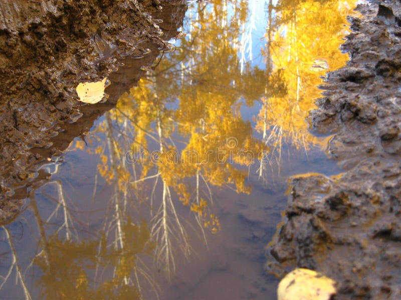 Autumn. Puddle among a Mud with Reflection of the Blue Sky and Gold ...