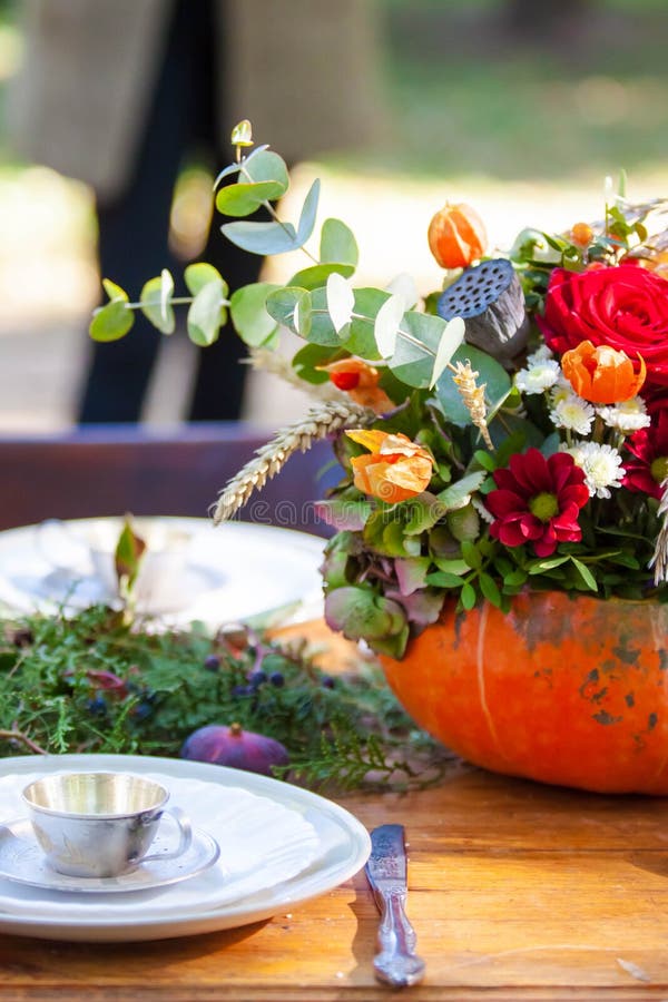 Autumn Tea Party in the Park Stock Image - Image of bush, fruit: 101117935