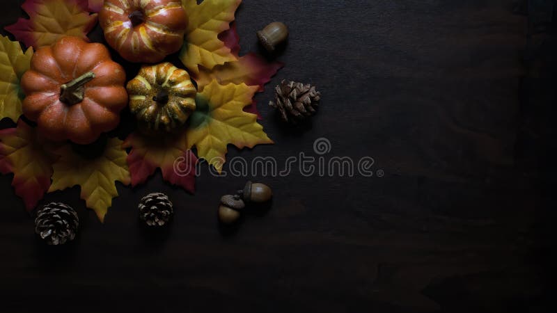 Autumn Pumpkin and Fall Colored Leaves Copy Past Stock Photo - Image of ...