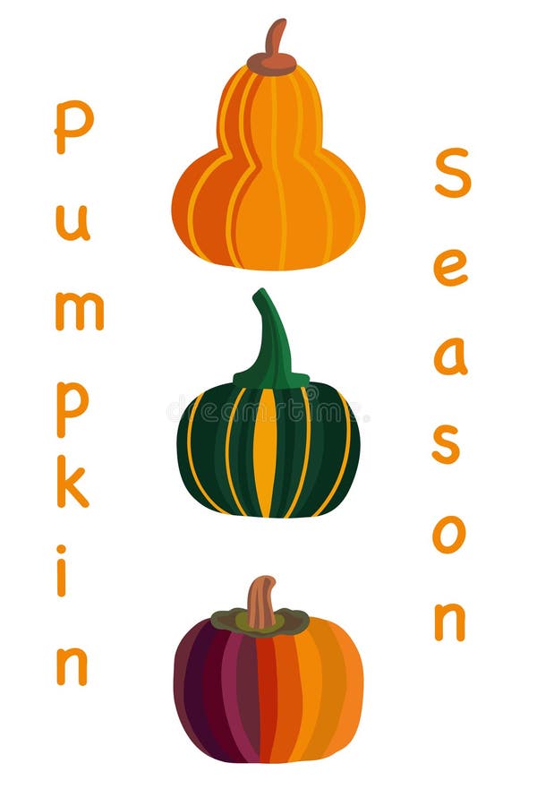 Autumn Pumpkin Set Hand Drawn Vector Three Items Stock Vector ...