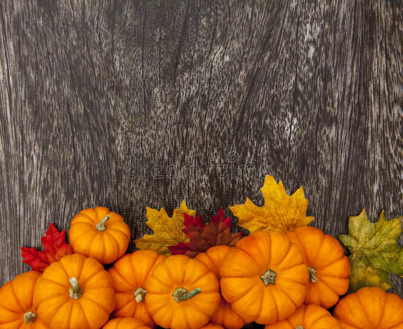 Autumn Pumpkin Thanksgiving Background Stock Image - Image of colorful ...