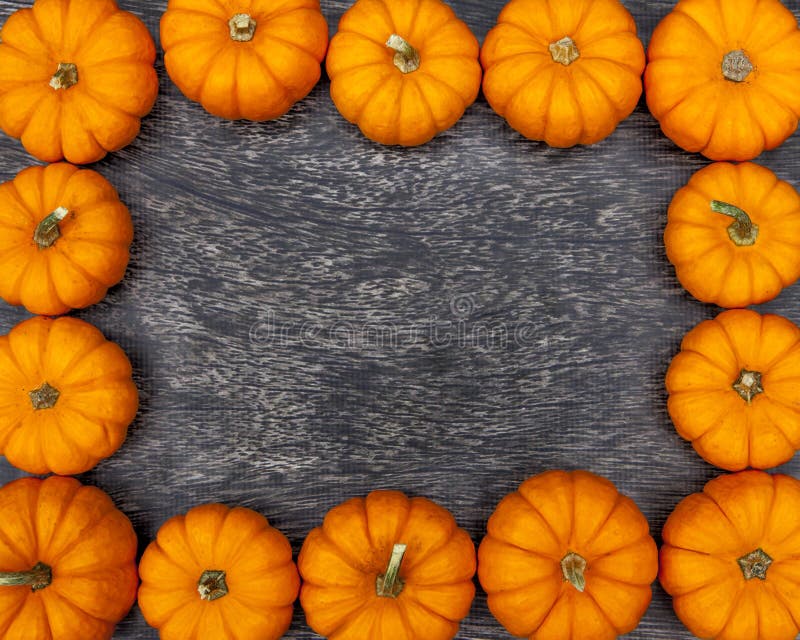 Autumn Pumpkin Thanksgiving Background Stock Image - Image of texture ...