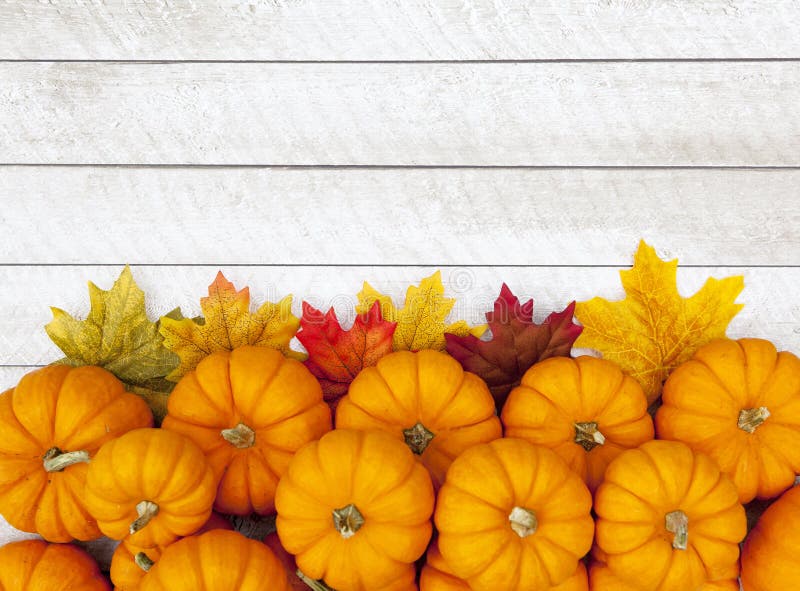 Autumn Pumpkin Thanksgiving Background Stock Image - Image of symbol ...
