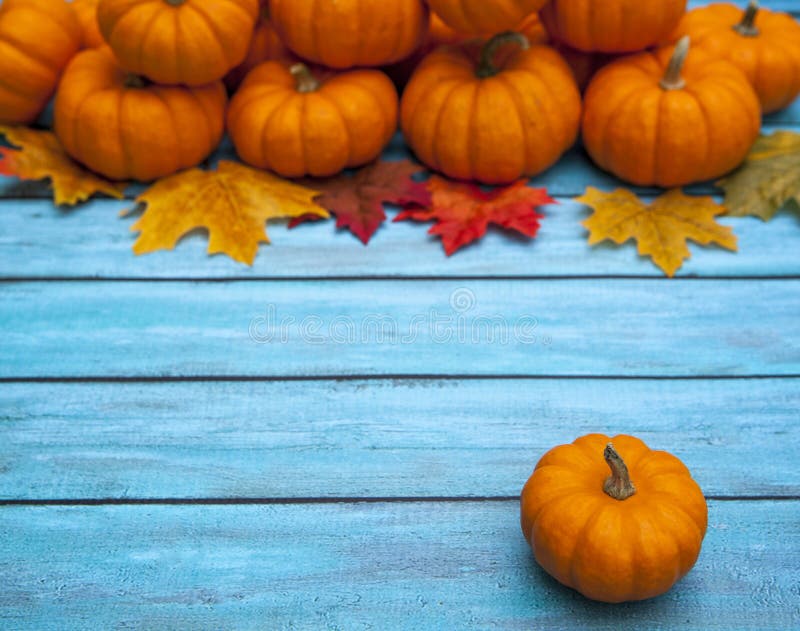 Autumn Pumpkin Thanksgiving Background Stock Image - Image of festive ...