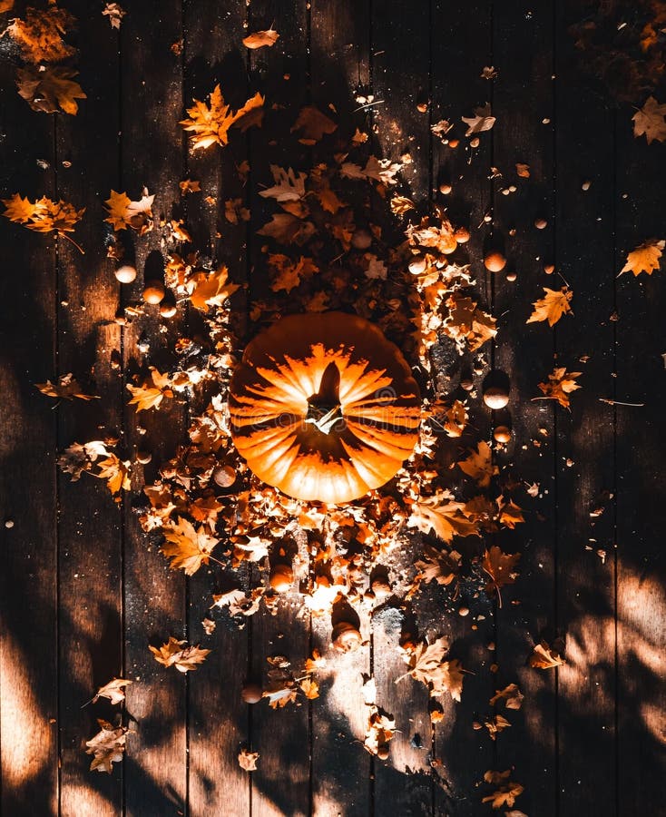 Autumn Pumpkin on Wooden Deck with Fall Leaves High Quality Image Stock Illustration ...