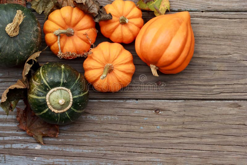 Pumpkins and Rust Colored Mums Stock Photo - Image of stacked, rustic ...