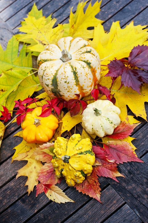Autumn pumpkins stock image. Image of decoration, grass - 26874125