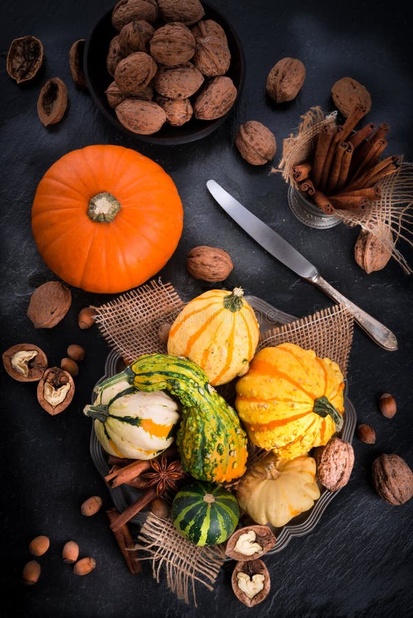 Autumn pumpkins stock photo. Image of life, gourmet, healthy - 45200526