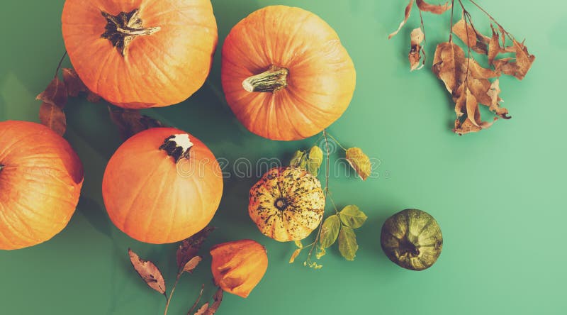 Autumn Pumpkins - Harvest and Thanksgiving Theme - 3d Stock ...