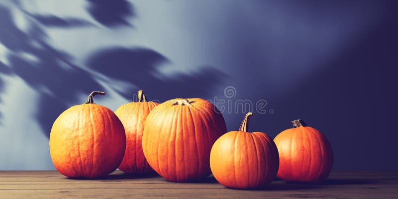 Autumn Pumpkins - Harvest and Thanksgiving Theme - 3d Stock ...