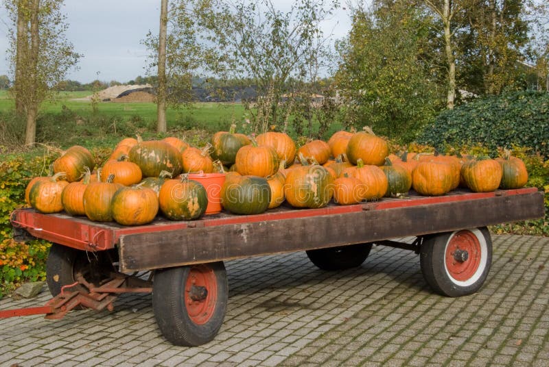 Autumn Pumpkins on a Trailer Stock Photo - Image of carriage, outdoors ...