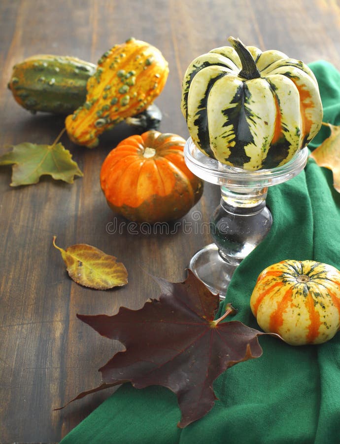 Pumpkin Pie Ingredients Isolated on Black Stock Photo - Image of ...