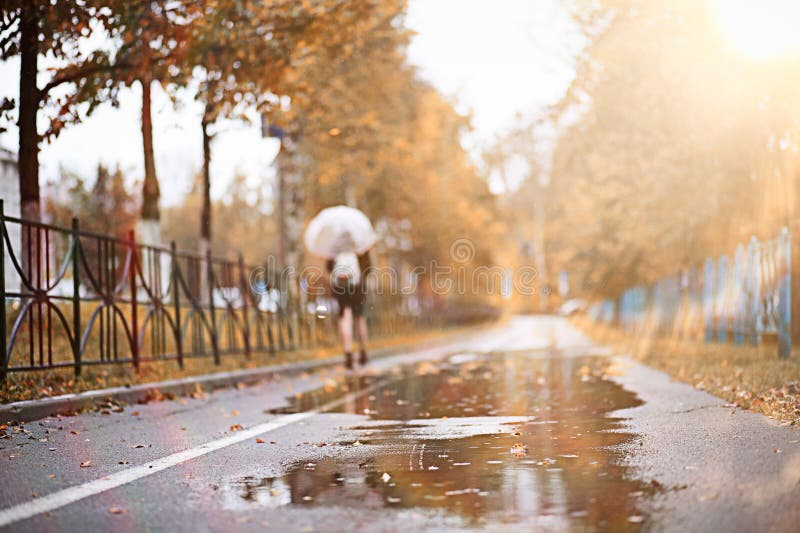 Autumn rain in the park stock photo. Image of wallpaper - 345689334