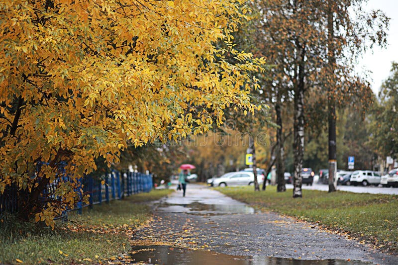 Autumn rain in the park stock image. Image of season - 345689427