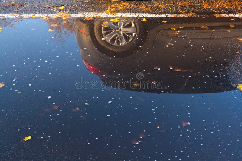 Reflection In Puddles After Rain Stock Photo - Image of reflection ...