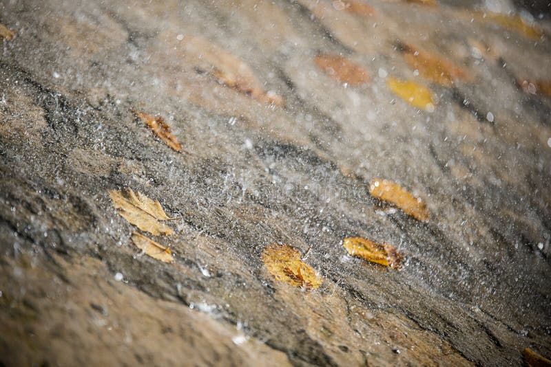 Autumn rain on a stone stock photo. Image of drops, natural - 102621968