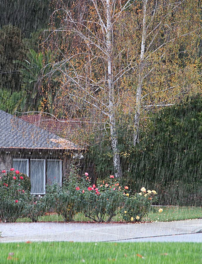 Autumn rain stock image. Image of autumn, fall, rose - 31994183