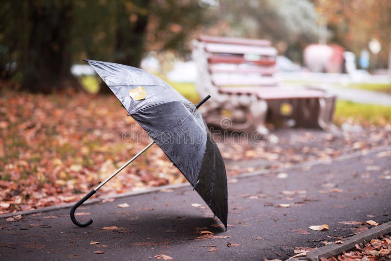 Autumn Rainy Park in October Stock Photo - Image of foliage, landscape ...