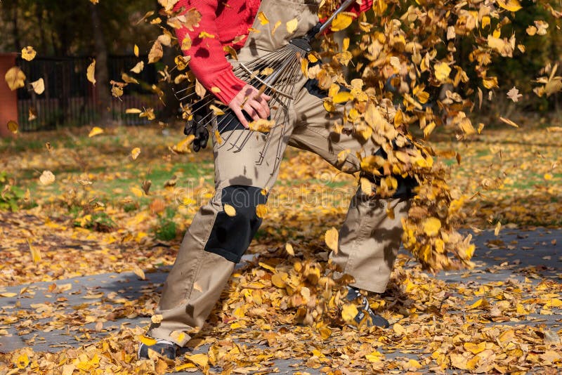 233 Man Using Rake Stock Photos - Free & Royalty-Free Stock Photos from ...