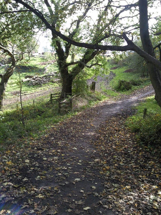 Autumn ramble stock photo. Image of autumnal, colours - 47971250