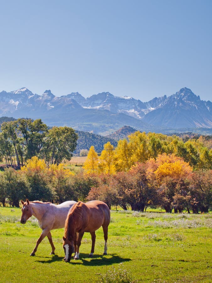Double RL Ranch Near Ridgway, Colorado USA with the Sneffels Range in ...