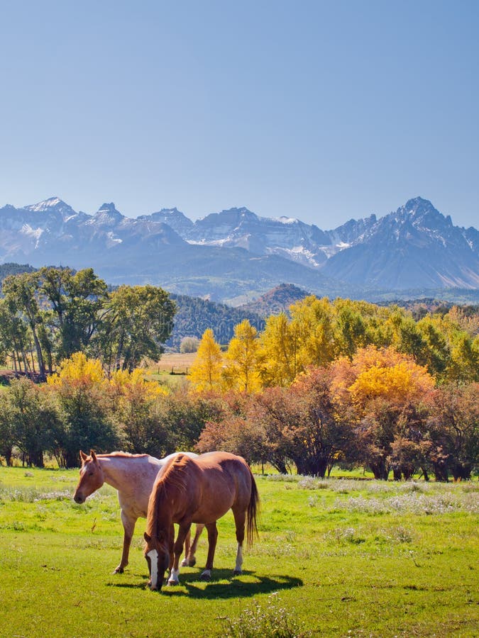 Autumn on the Ranch stock image. Image of mammal, divide - 33481819