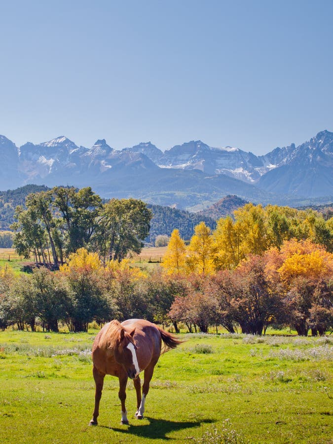 Autumn on the Ranch stock image. Image of range, sneffles - 33481831