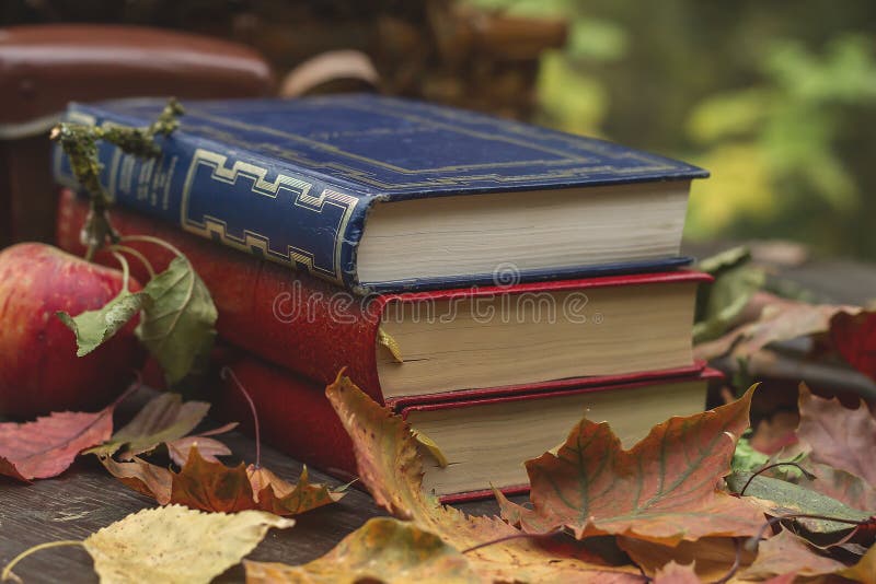 Autumn reading stock image. Image of homework, aged, autum - 82354291
