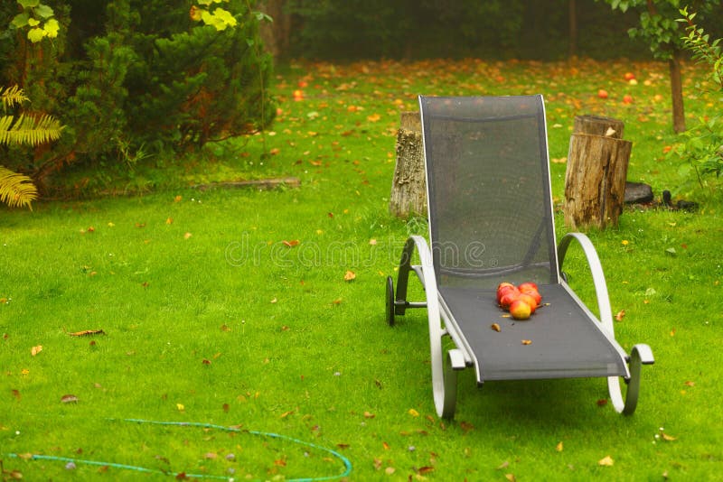 Autumn Red Apples on Chair in Garden Stock Image - Image of juicy ...