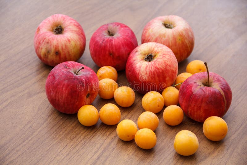 Autumn. Red Apples Fall To the Ground. Stock Photo - Image of sweet ...