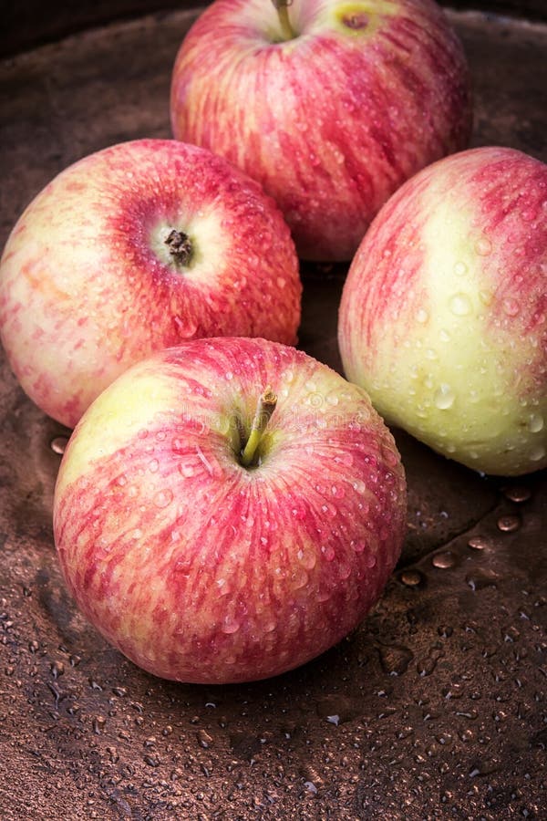 Autumn red apples stock photo. Image of garden, shiny - 98297064