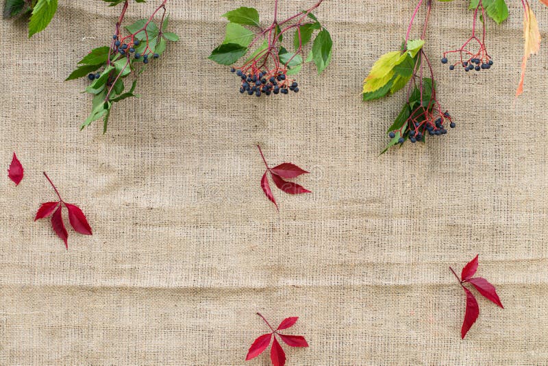 Autumn Red Leaves on Sack Texture Background Stock Photo - Image of ...