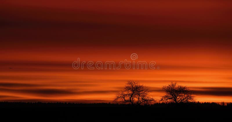 Autumn Red Sunset with Trees on he Horizon Stock Image - Image of ...